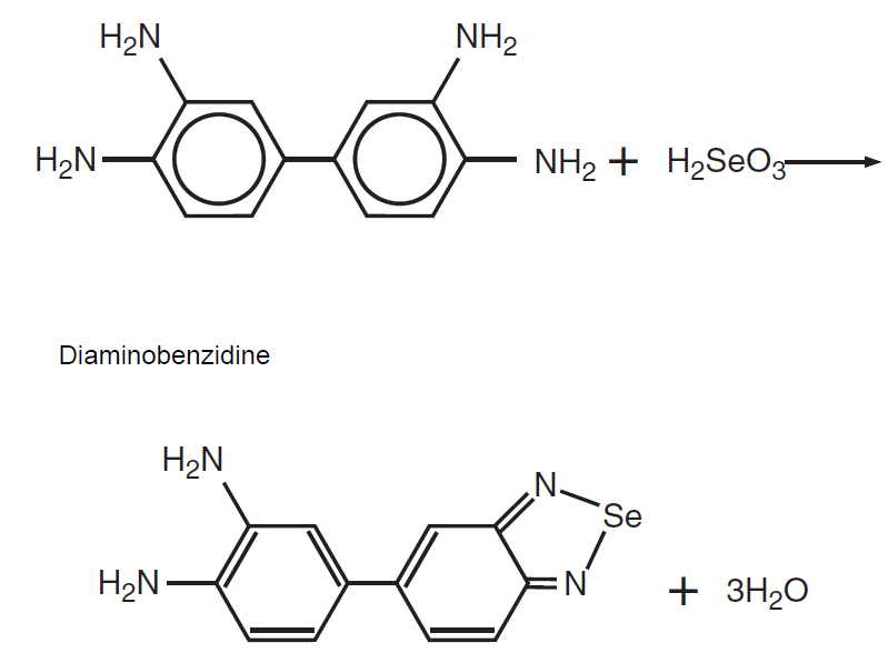 Chemistry Explained: Selenium