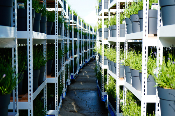 Horticulture ERP for Inventory Management | Aster Software