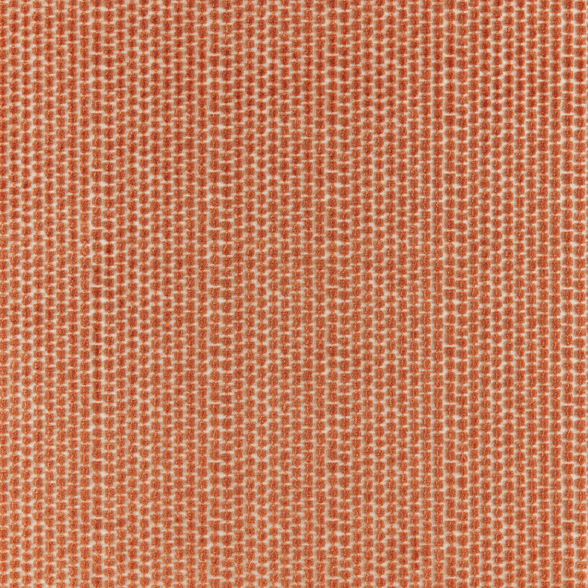 Templon Velvet - Spice | Kravet