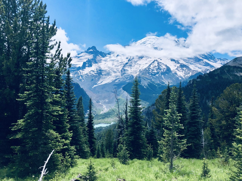 Environmental Justice: What Is It and Why It's Important