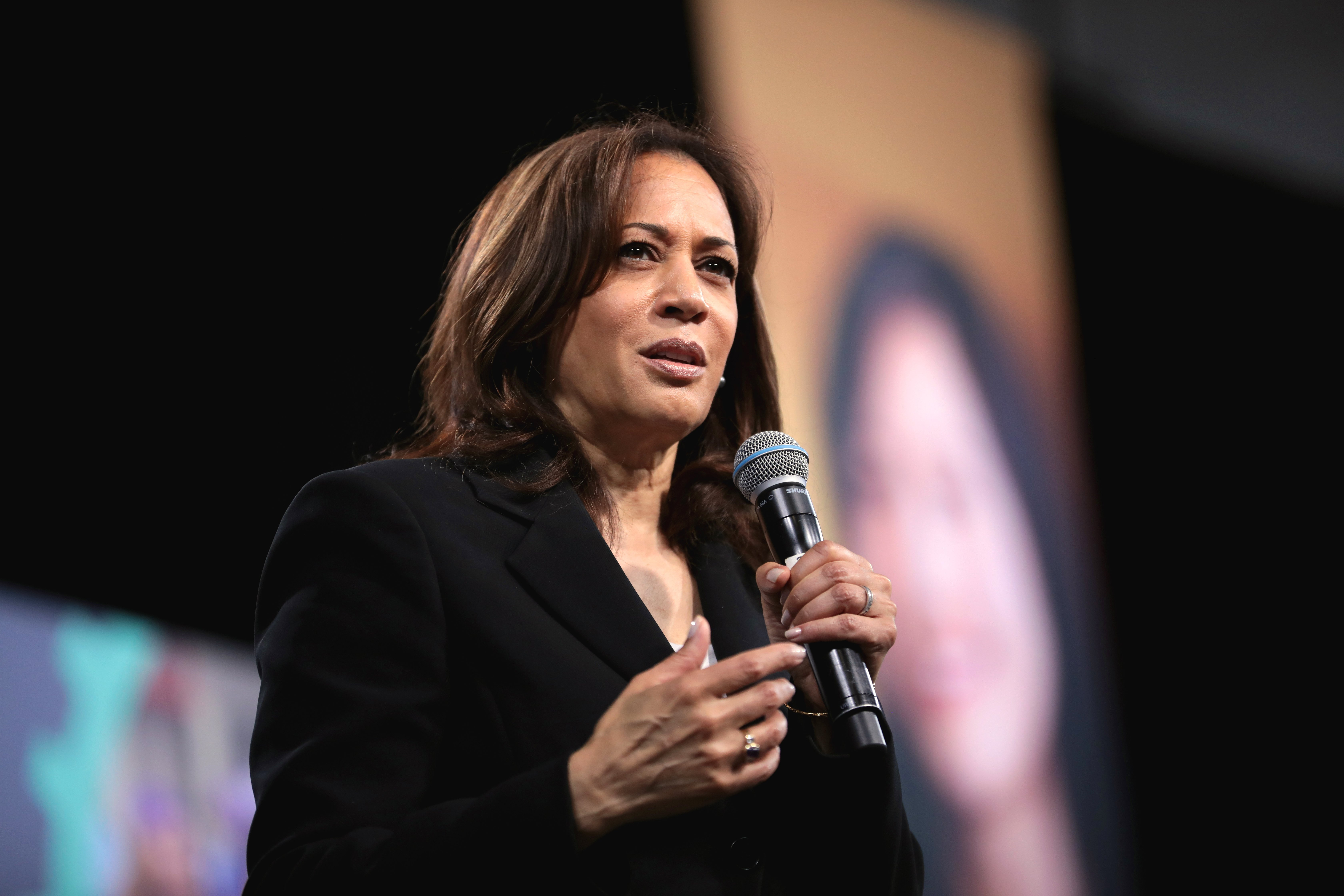 Why Kamala Harris Lost the 2024 Election