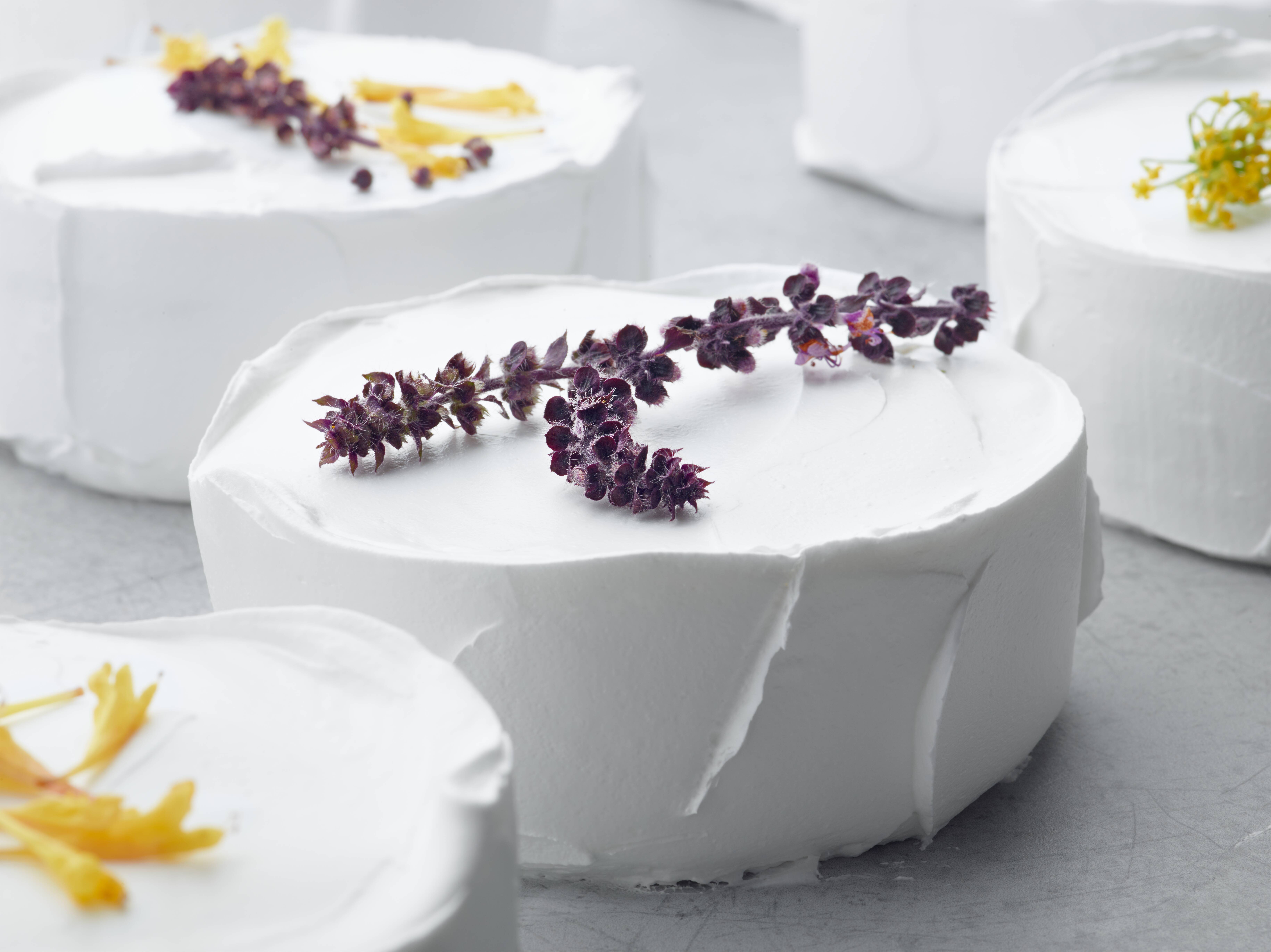 Cake Mixes, Bases and Concentrates