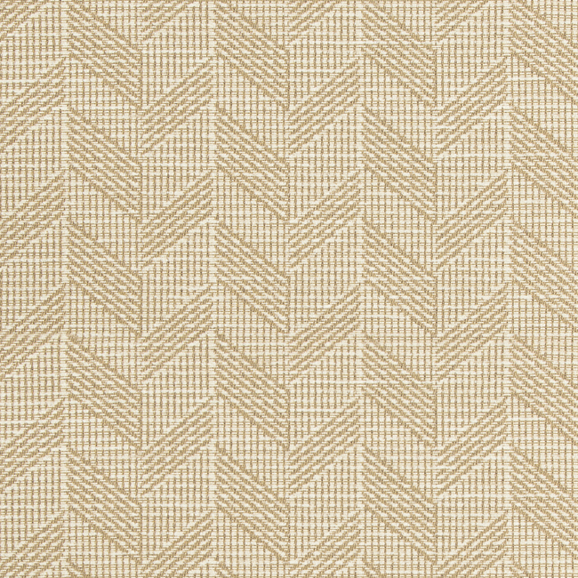 Cayuga - Flax | Kravet