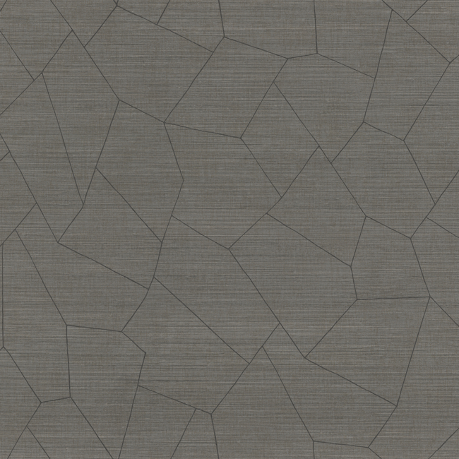 Vivace - Graphite | Kravet