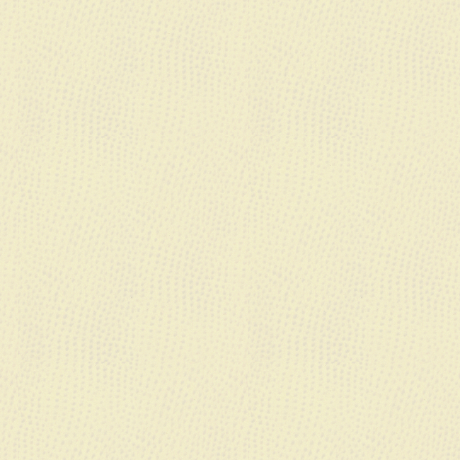 Kravet Contract - Belus-1 | Kravet