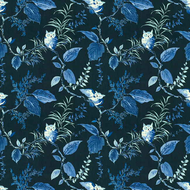 Owlish - Navy | Kravet